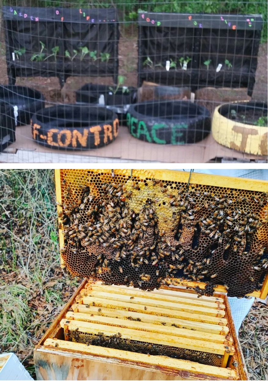 Farmer's Spotlight: Richardson Herbal Farm - Poe Center for Health ...